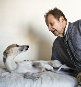 Dogs: An Artist’s Best Friend – Art Peritus | The Industry’s Expert ...